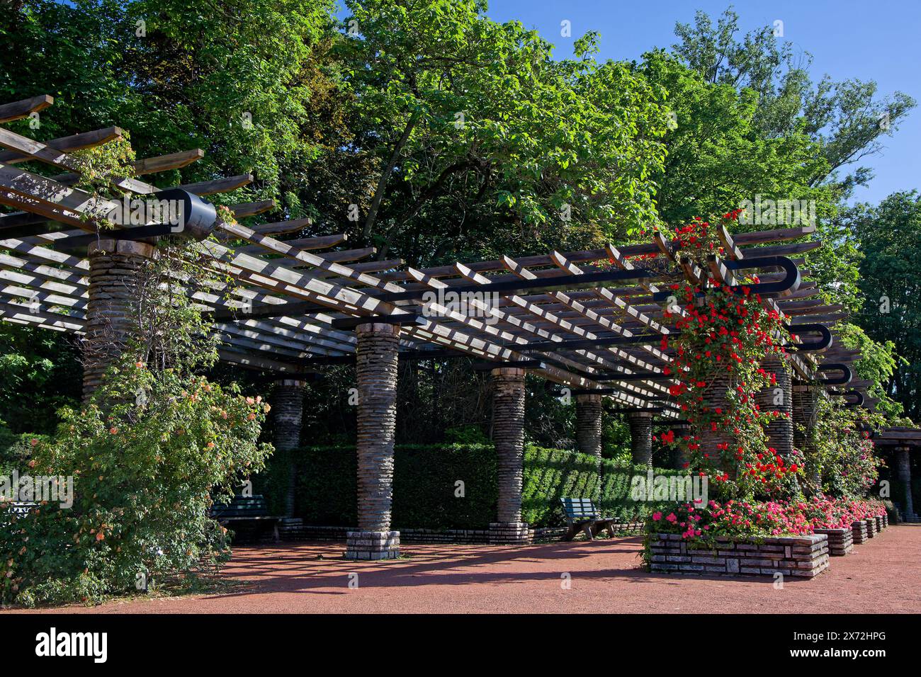 Construction in rose garden hi-res stock photography and images - Alamy