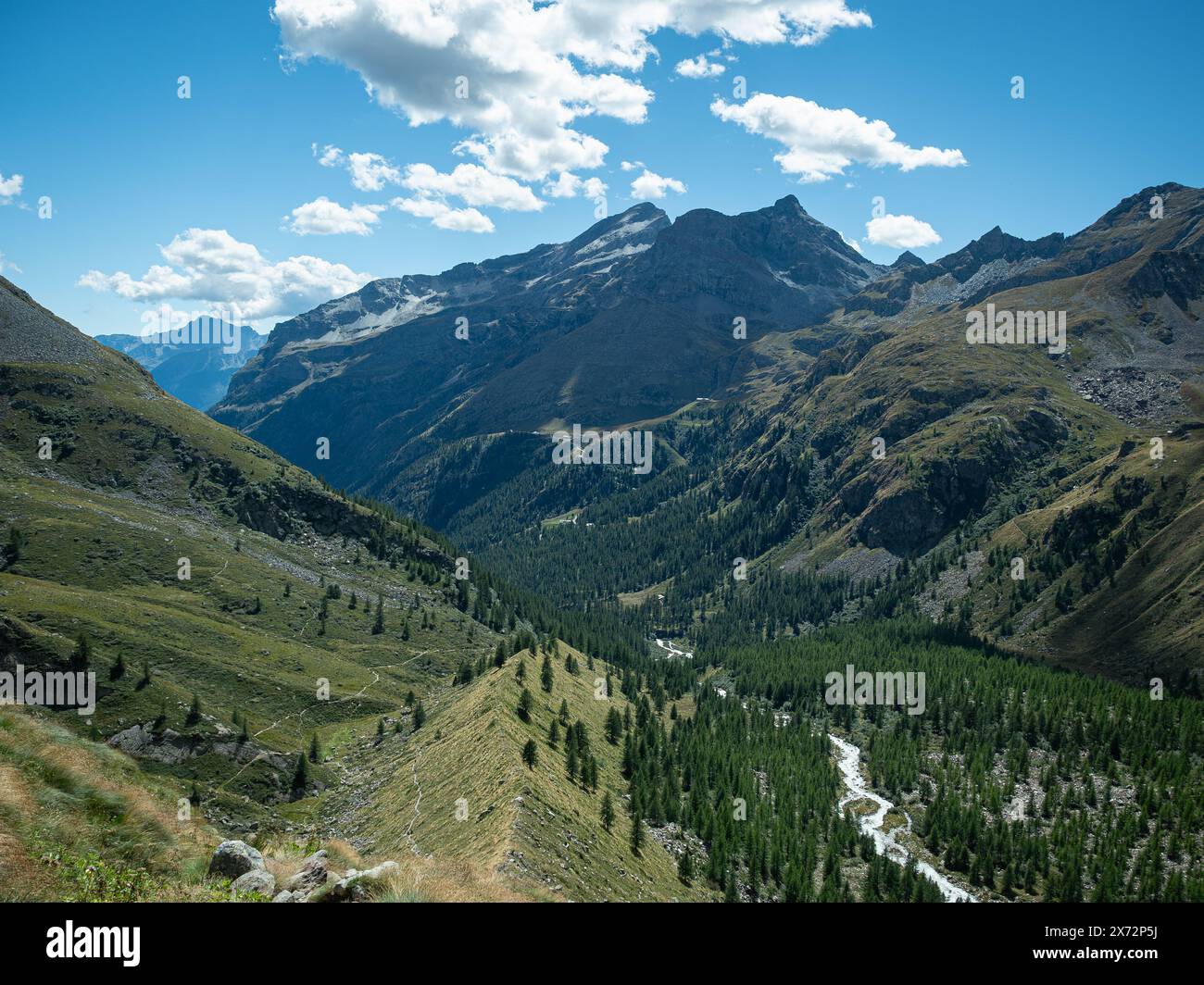 Green valley with grass, forest and river, in the Lys valley, above ...