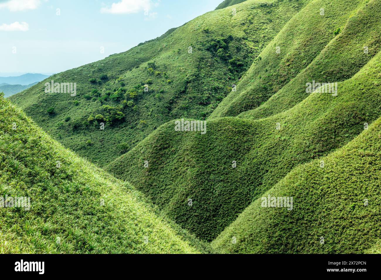 scenery of Sanjiaolun mount, aka matcha mountain, in Jiaoxi township ...