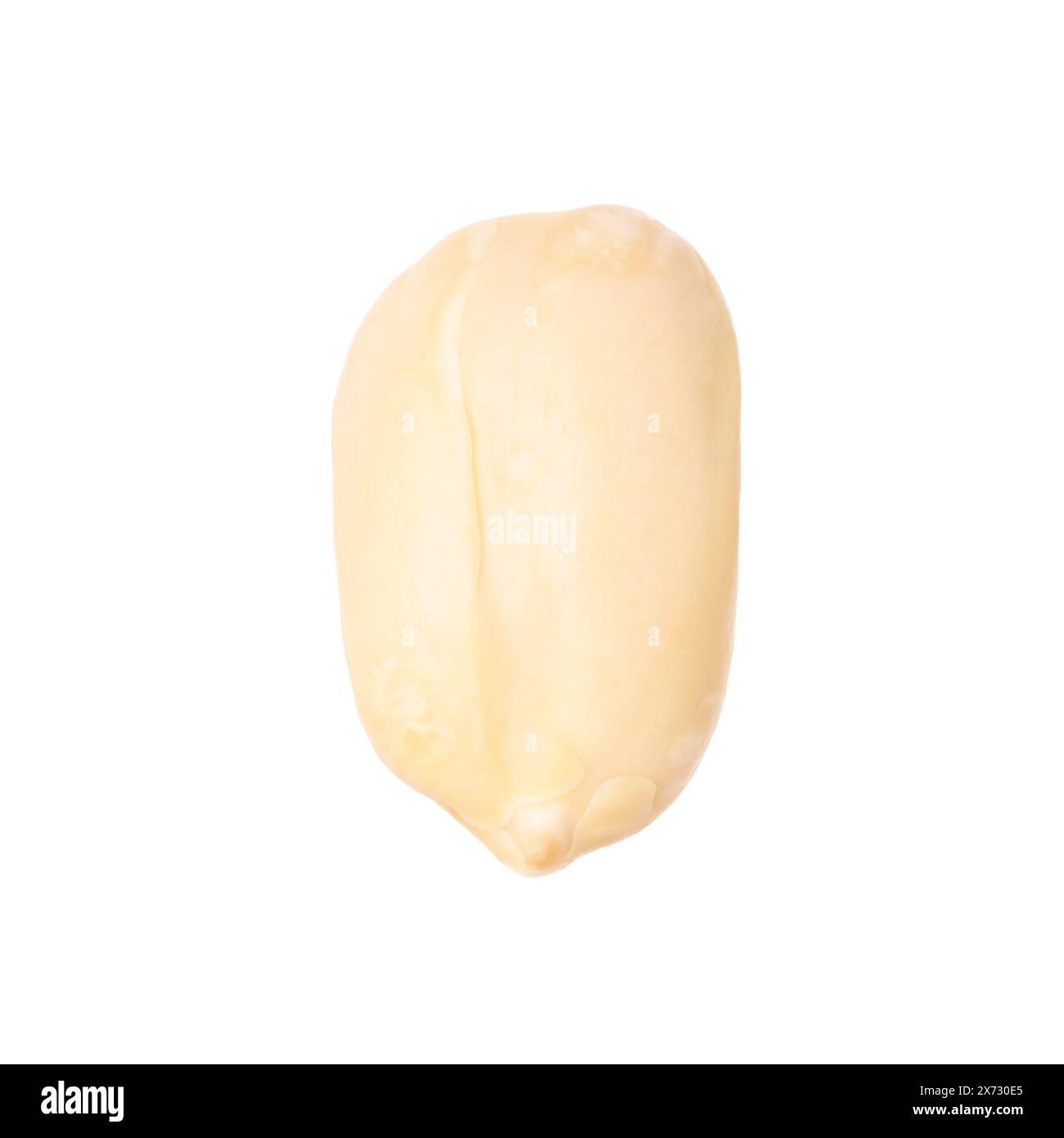 One fresh peeled peanut isolated on white Stock Photo - Alamy