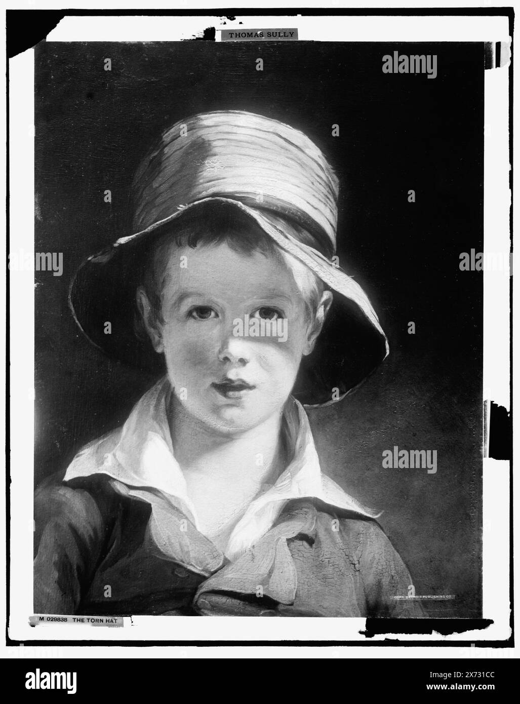 Colorado thistle Cut Out Stock Images & Pictures - Alamy