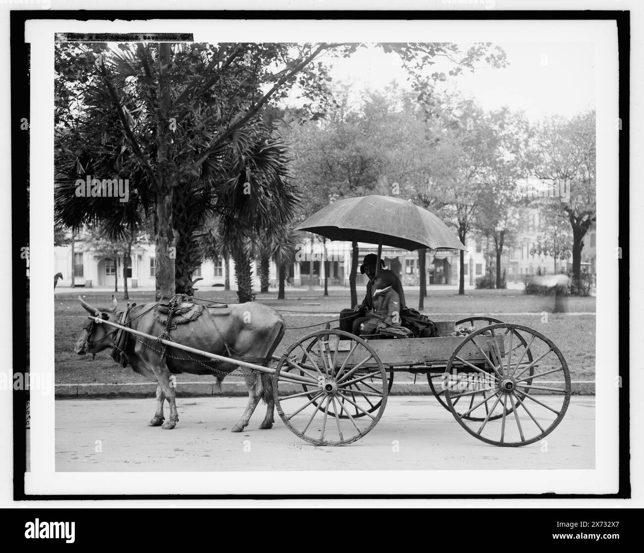 Conveyance wagon Black and White Stock Photos & Images - Alamy