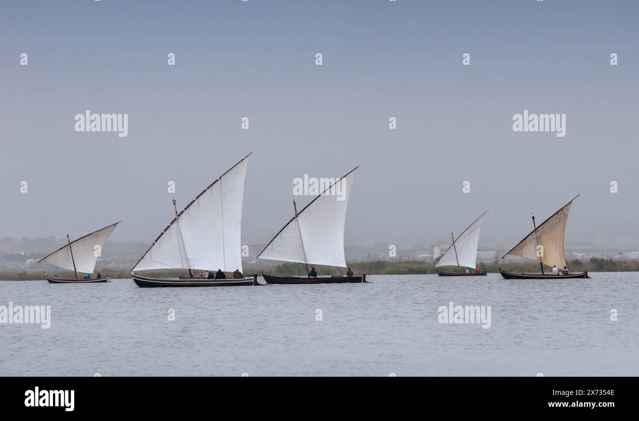 Traditional latin sailing boats race in the lake of La Albufera ...