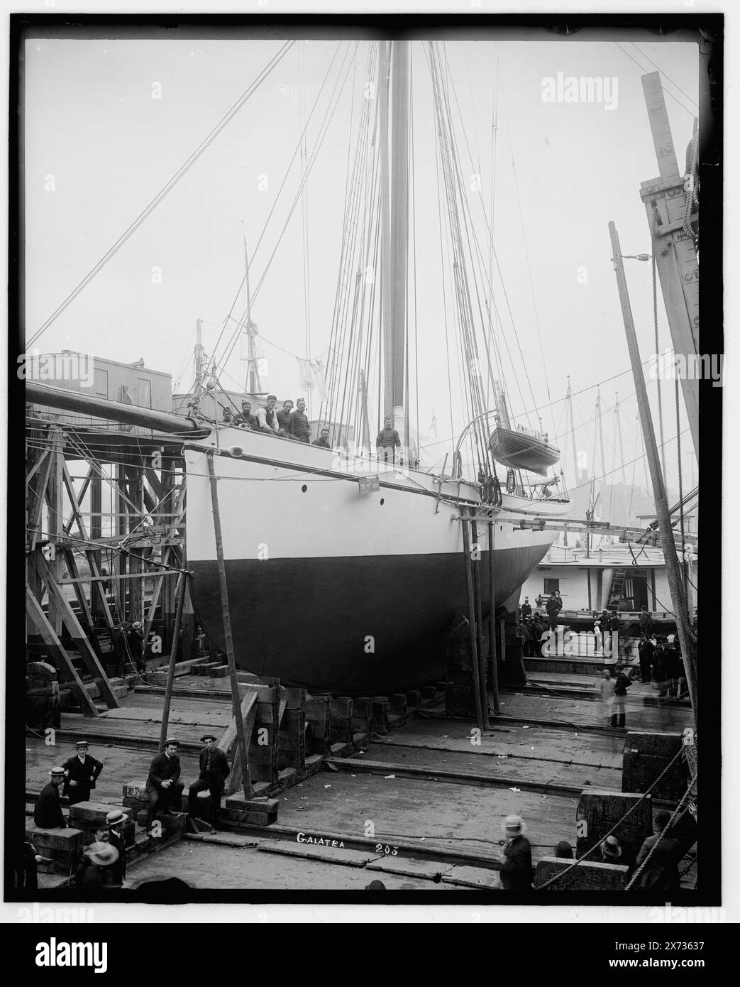 Galatea, Attribution based on style of title and numbering., "203" on ...