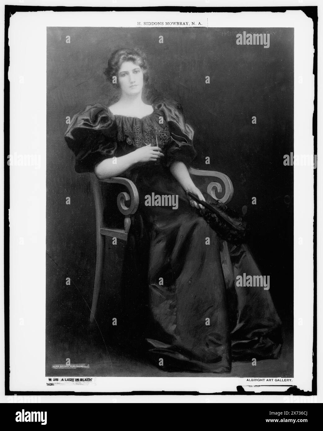 Lady thistle Black and White Stock Photos & Images - Alamy