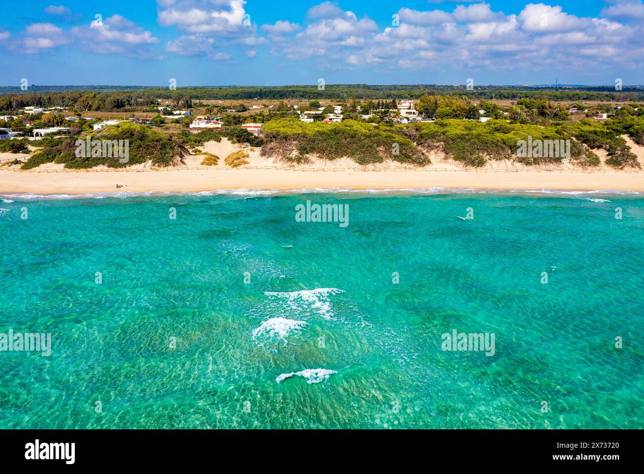Punta Prosciutto azure sea water, crystal clear water on beach Punta ...