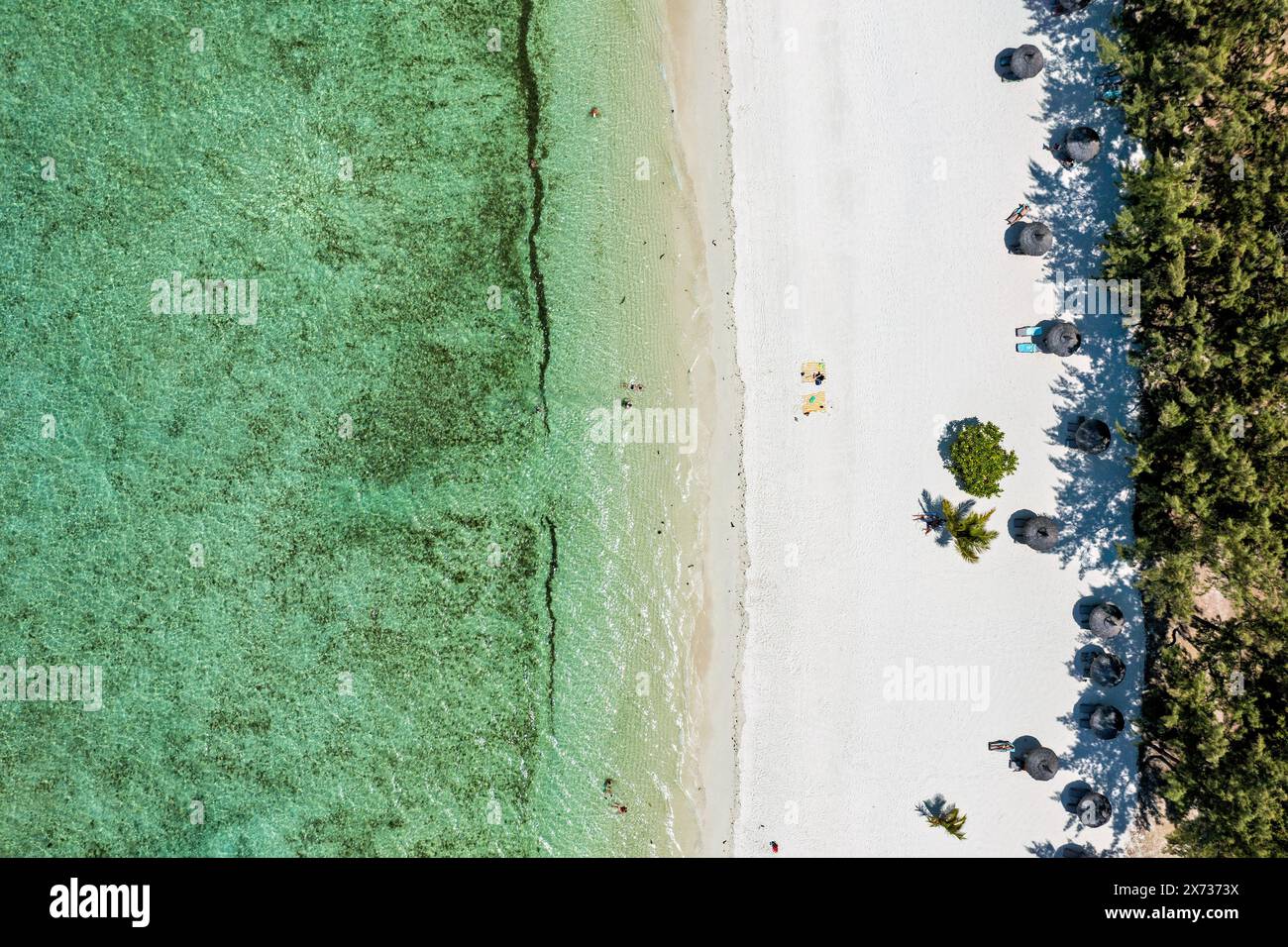 Ile aux Cerfs island with idyllic beach scene, aquamarine sea and soft ...