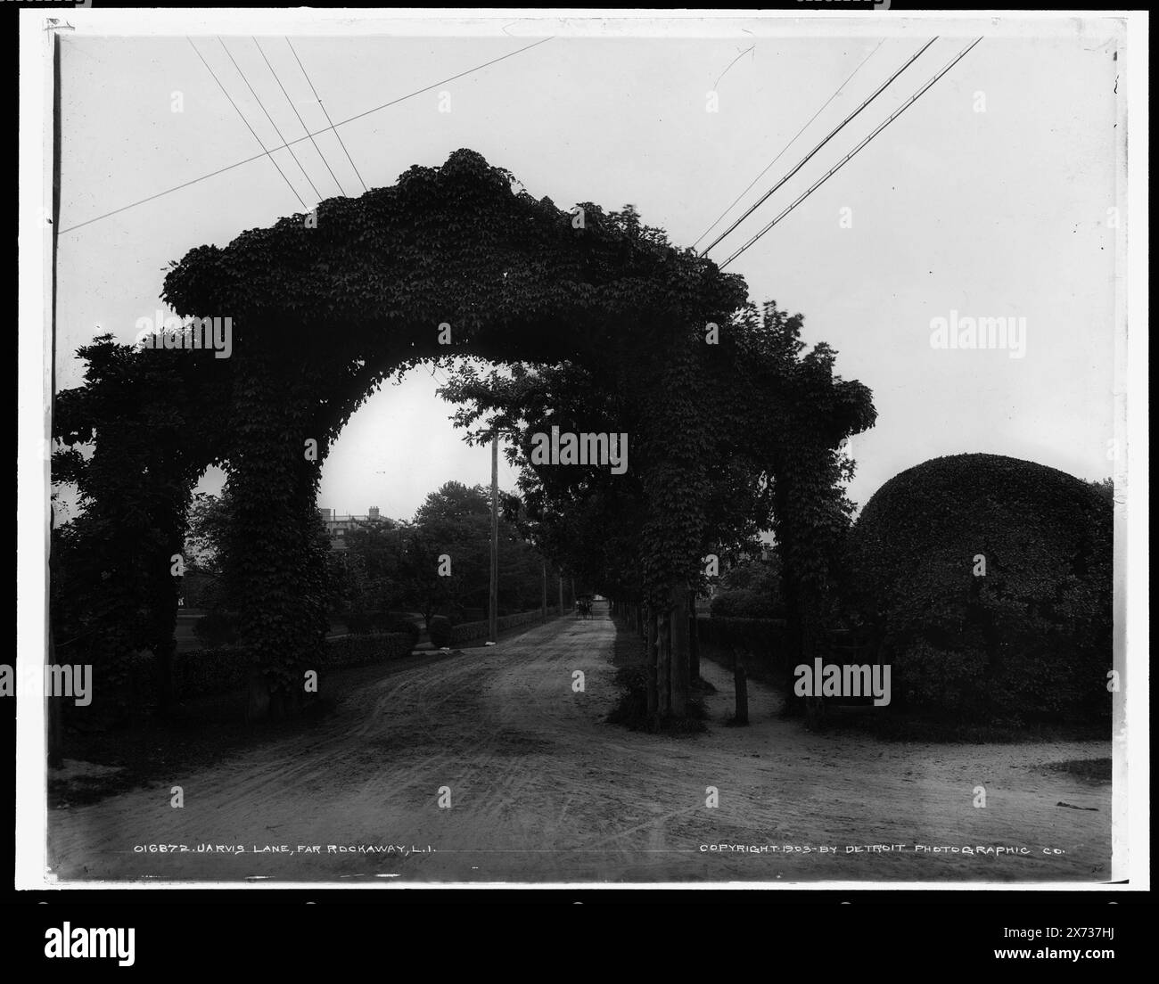 Vine covered arch Black and White Stock Photos & Images - Alamy