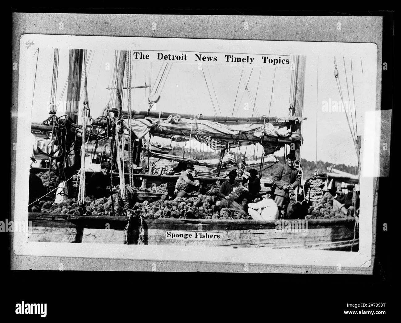 Sponge industry Black and White Stock Photos & Images - Alamy