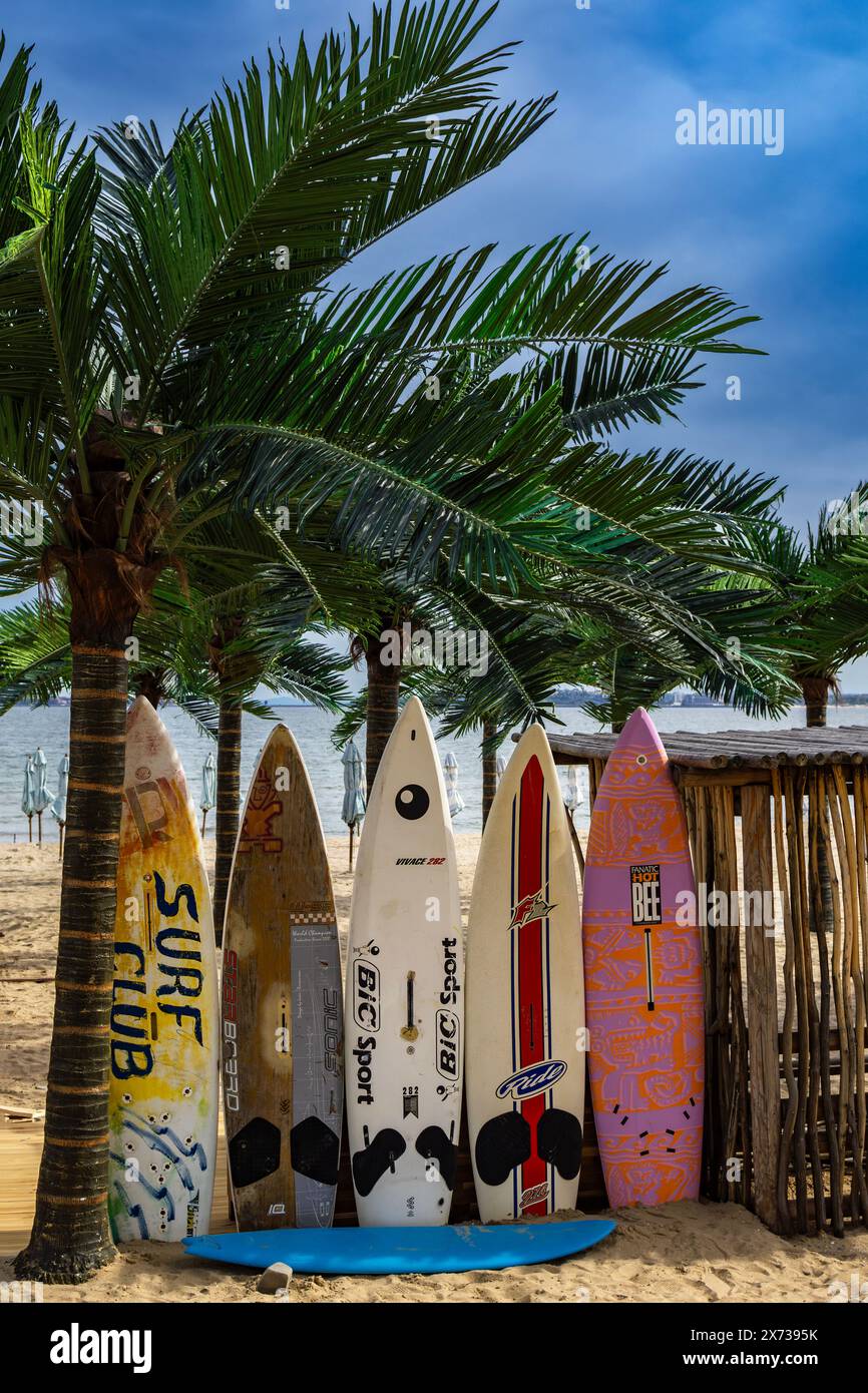 Surf bar on the beach in sea resort Sunny Beach, Bulgaria Stock Photo ...
