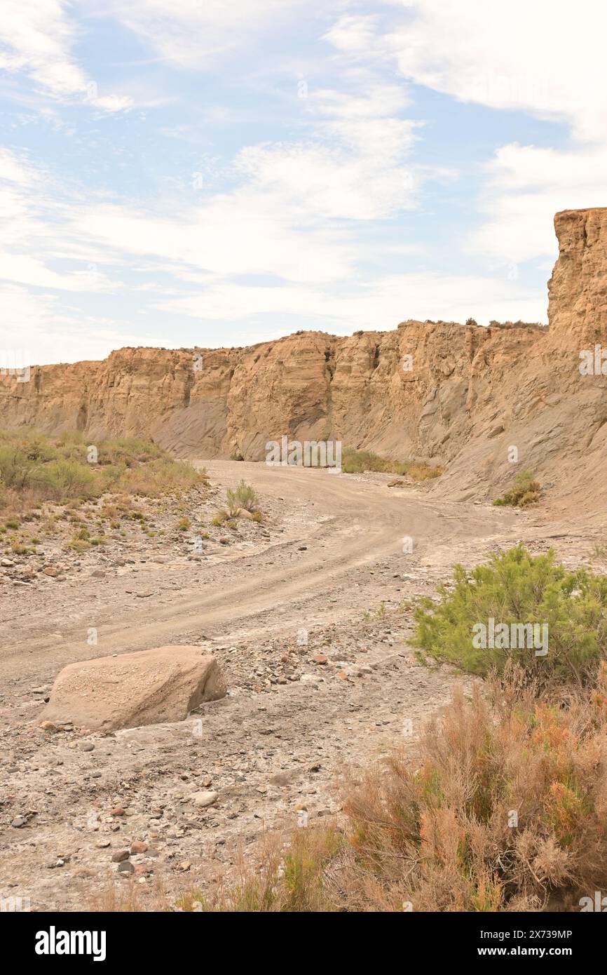 Desert landscape with a winding dirt road through rocky terrain ...