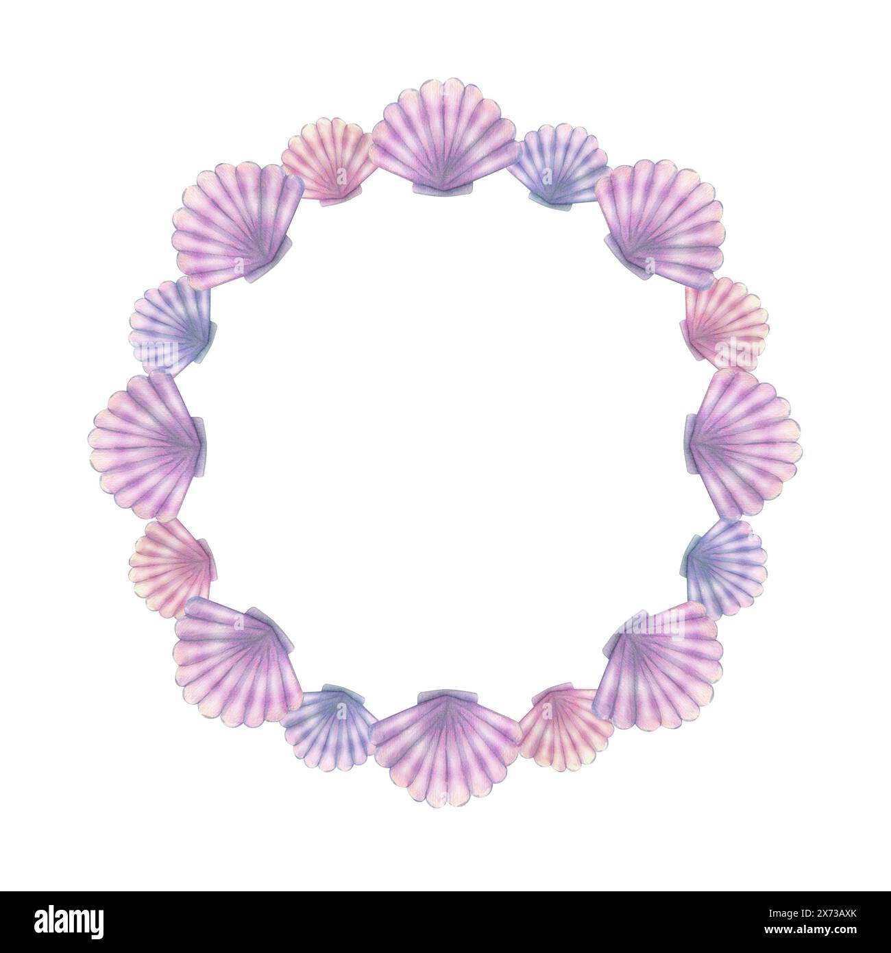 Scallop seashells in lilac and pink colors. Watercolor, hand drawn ...