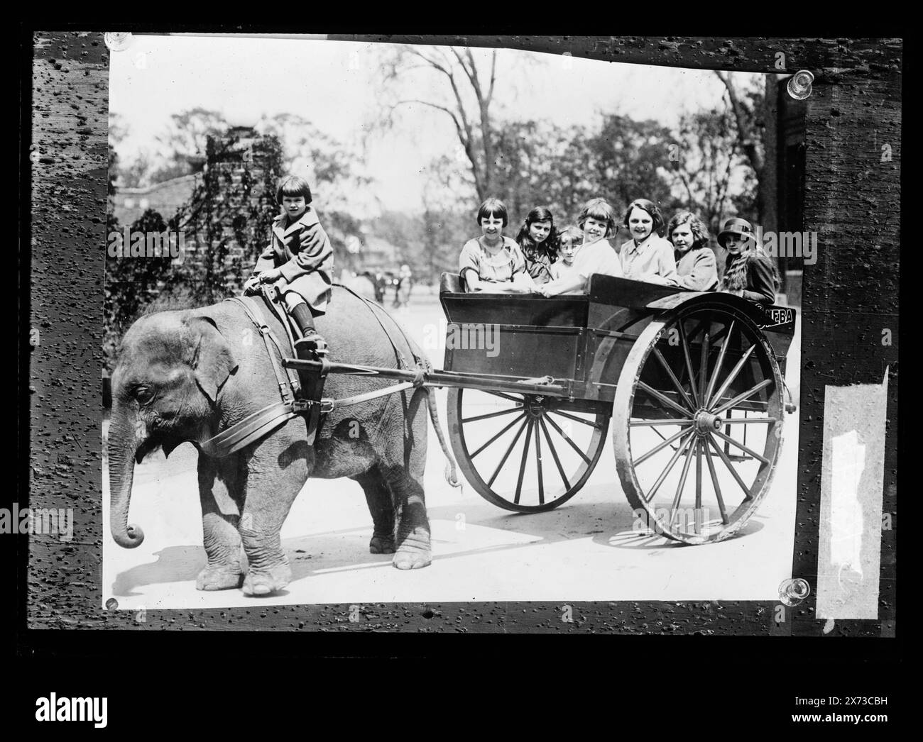 K circus Black and White Stock Photos & Images - Alamy