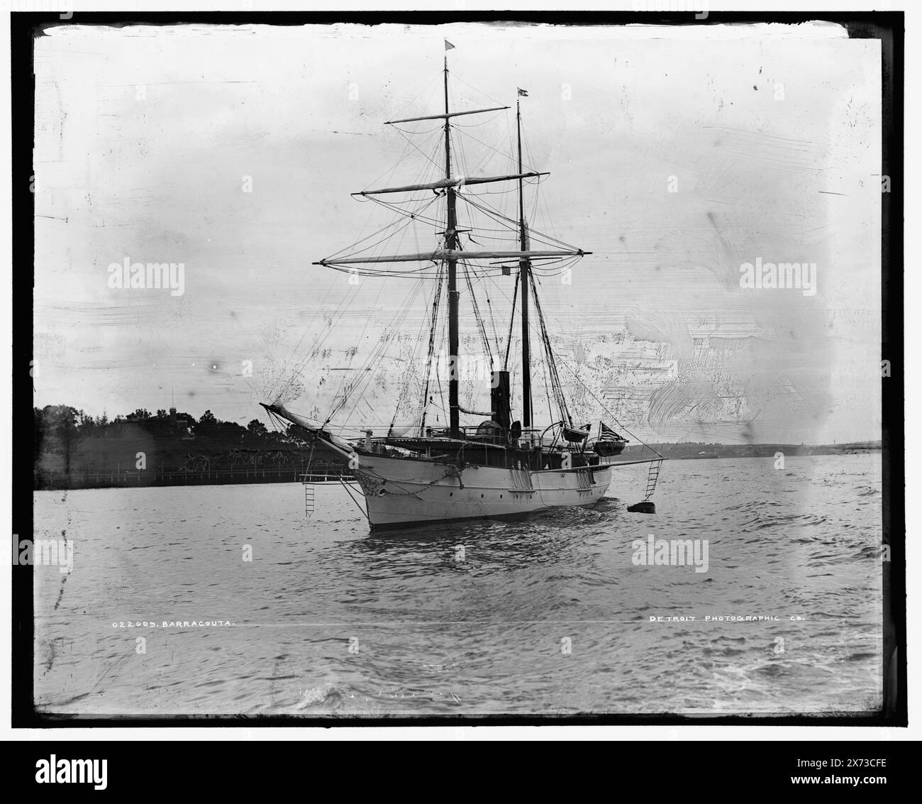 Barracouta Black and White Stock Photos & Images - Alamy