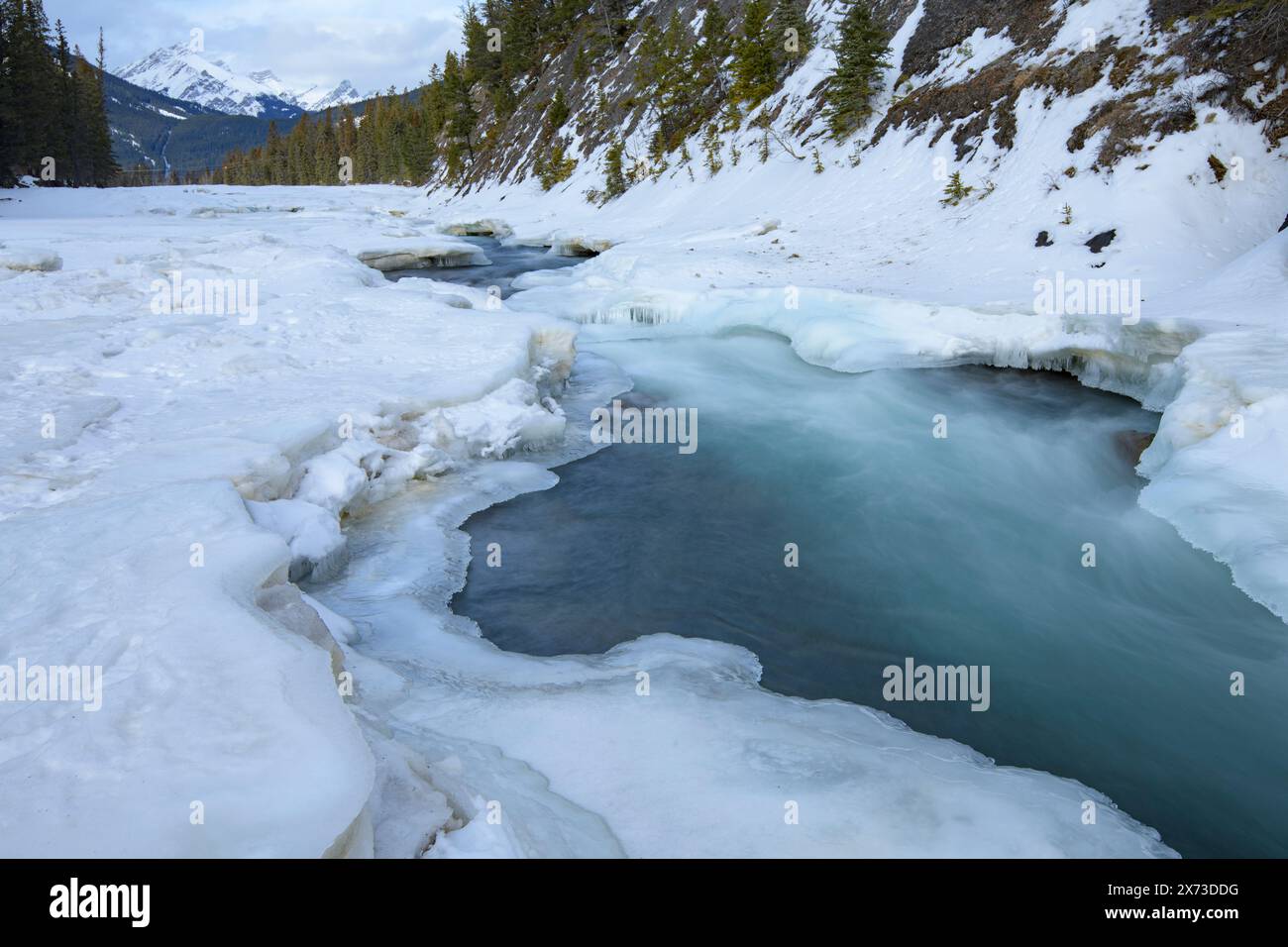Canada, Alberta, Rocky Mountains, Banff, National Park, Bow River Stock ...