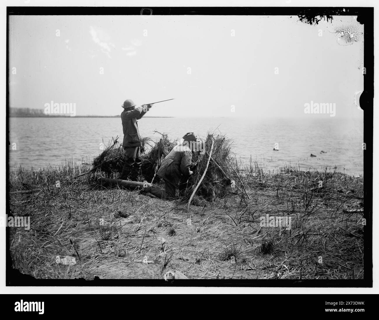 Bird hunting historical hi-res stock photography and images - Alamy