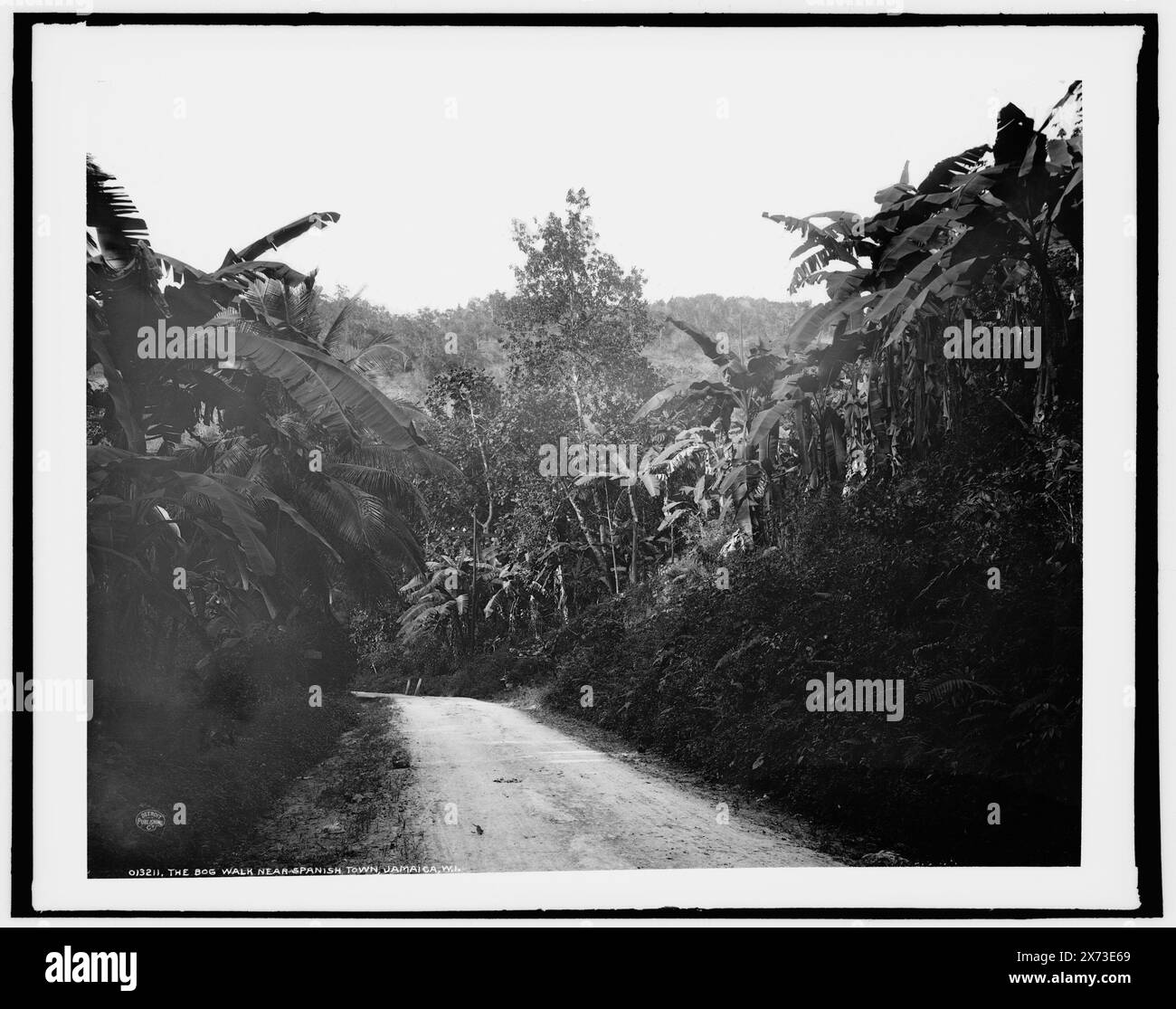 The Bog Walk near Spanish Town, Jamaica, W.I., Date based on Detroit ...