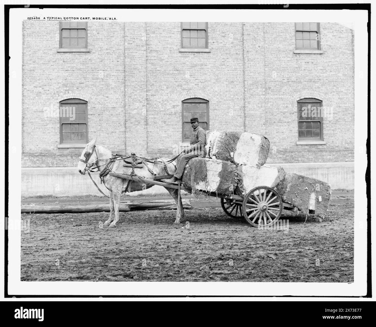Ala cart hi-res stock photography and images - Alamy