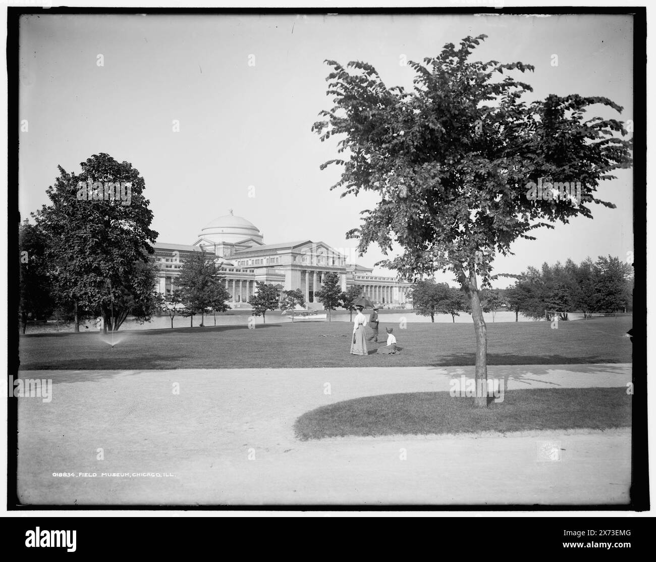 Natural history displays Black and White Stock Photos & Images - Alamy