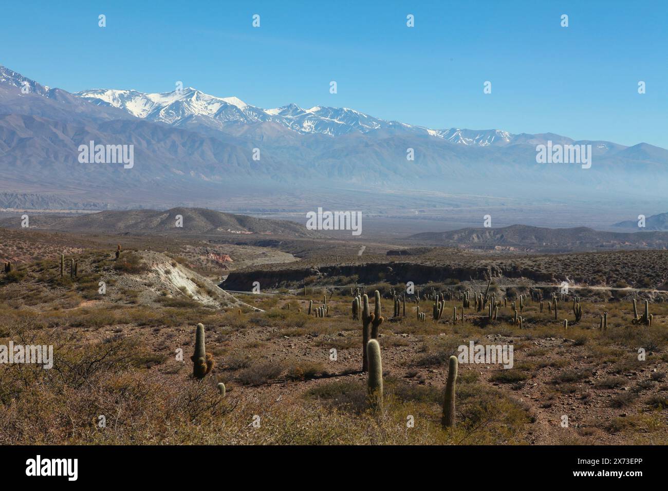 landscape with Andes mountains, Salta, Argentina Stock Photo - Alamy