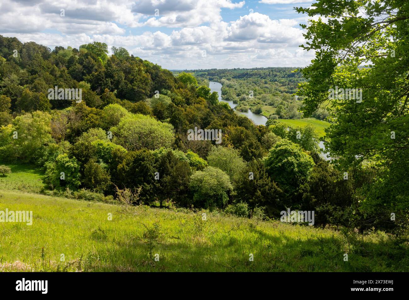 View from Hartslock Nature Reserve to the River Thames during May ...