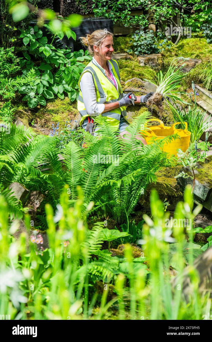 London, UK. 17th May, 2024. Final adjustments to The National Autistic ...