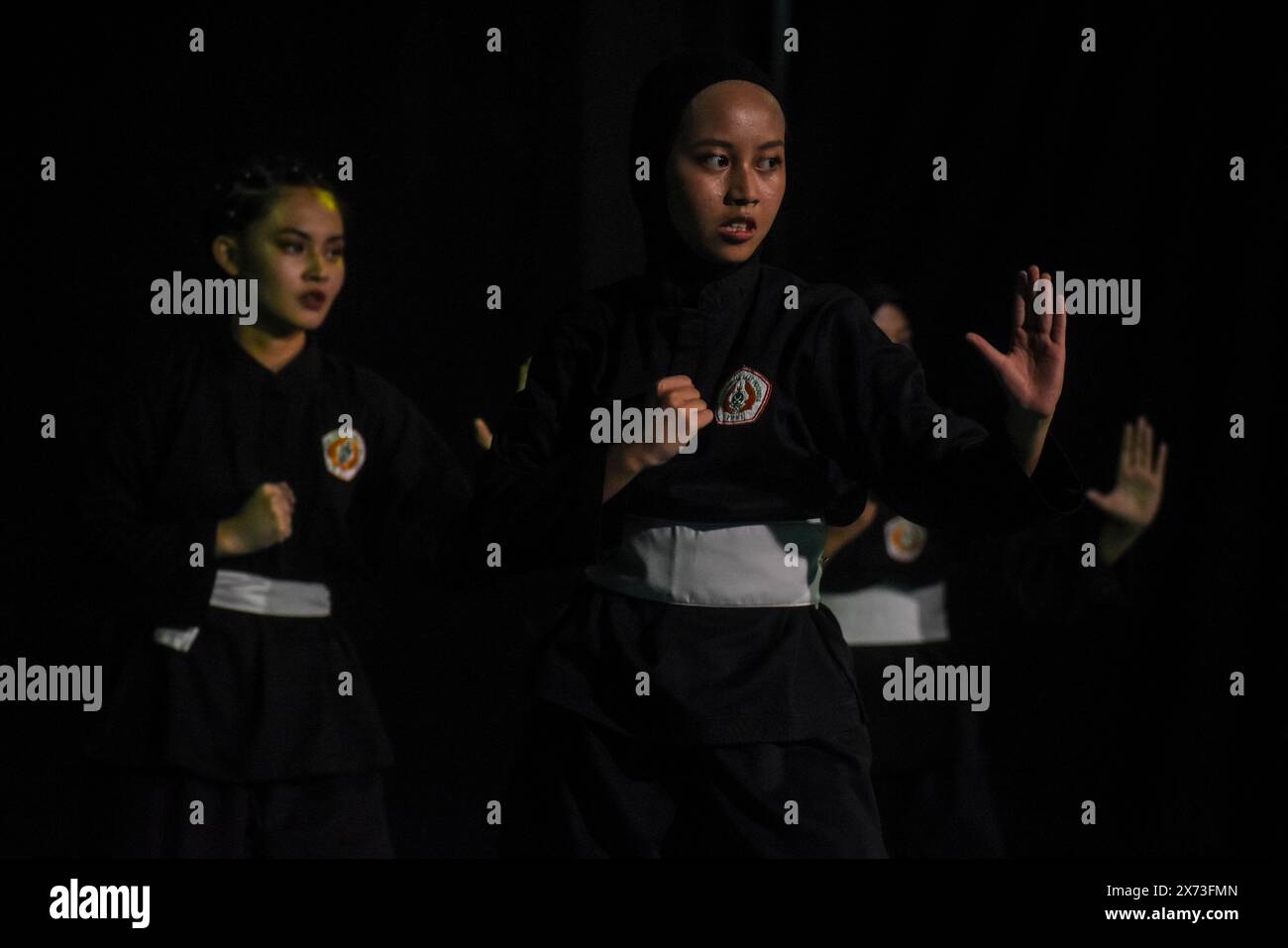 Bandung, West Java, Indonesia. 17th May, 2024. Pencak silat fighter ...