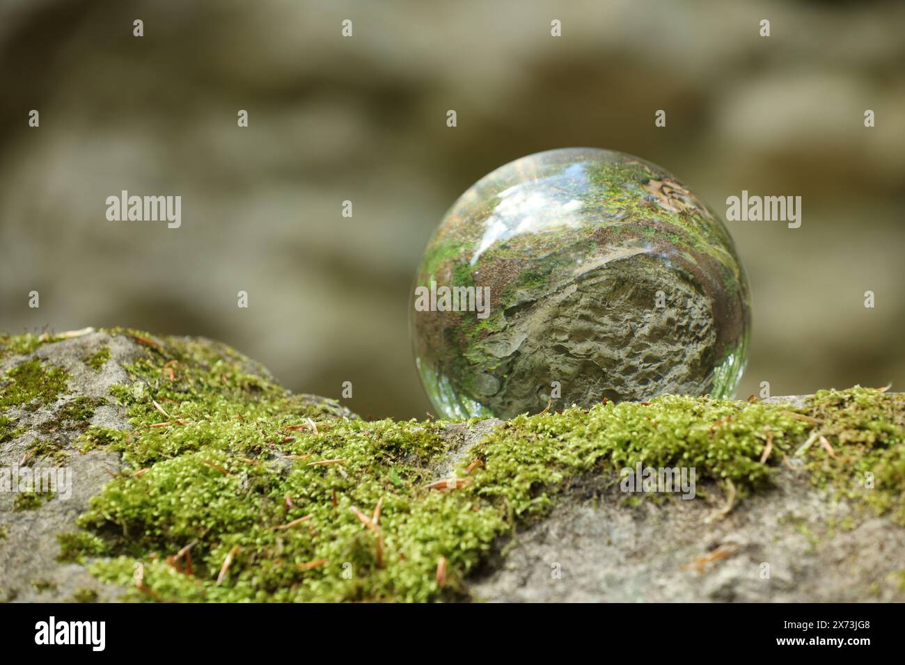 Beautiful forest, overturned reflection. Crystal ball on stone surface ...