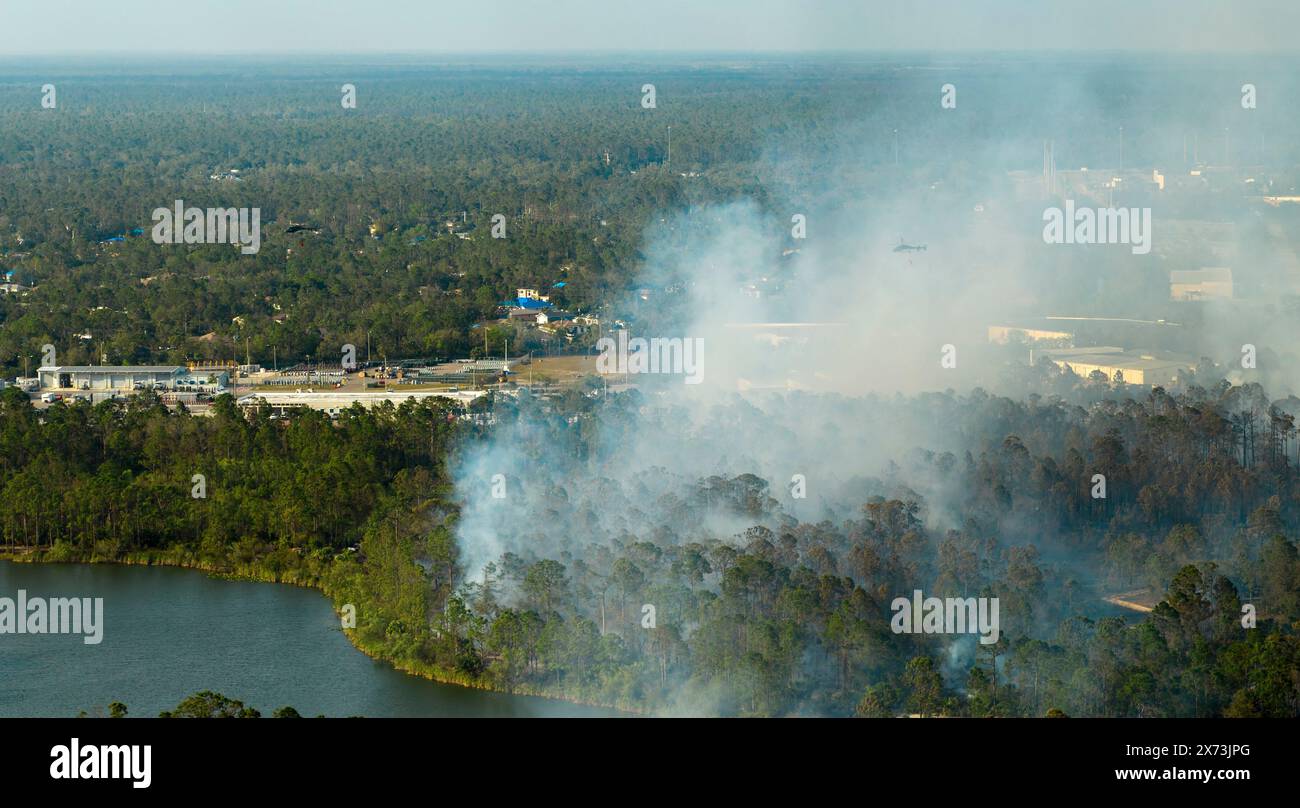 Huge wildfire burning severely in Florida jungle woods. Hot flames in ...