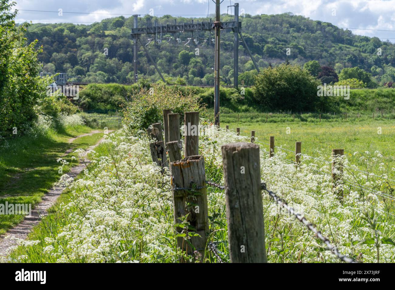Mend the Gap project near Goring Gap funded by Network Rail to enrich ...