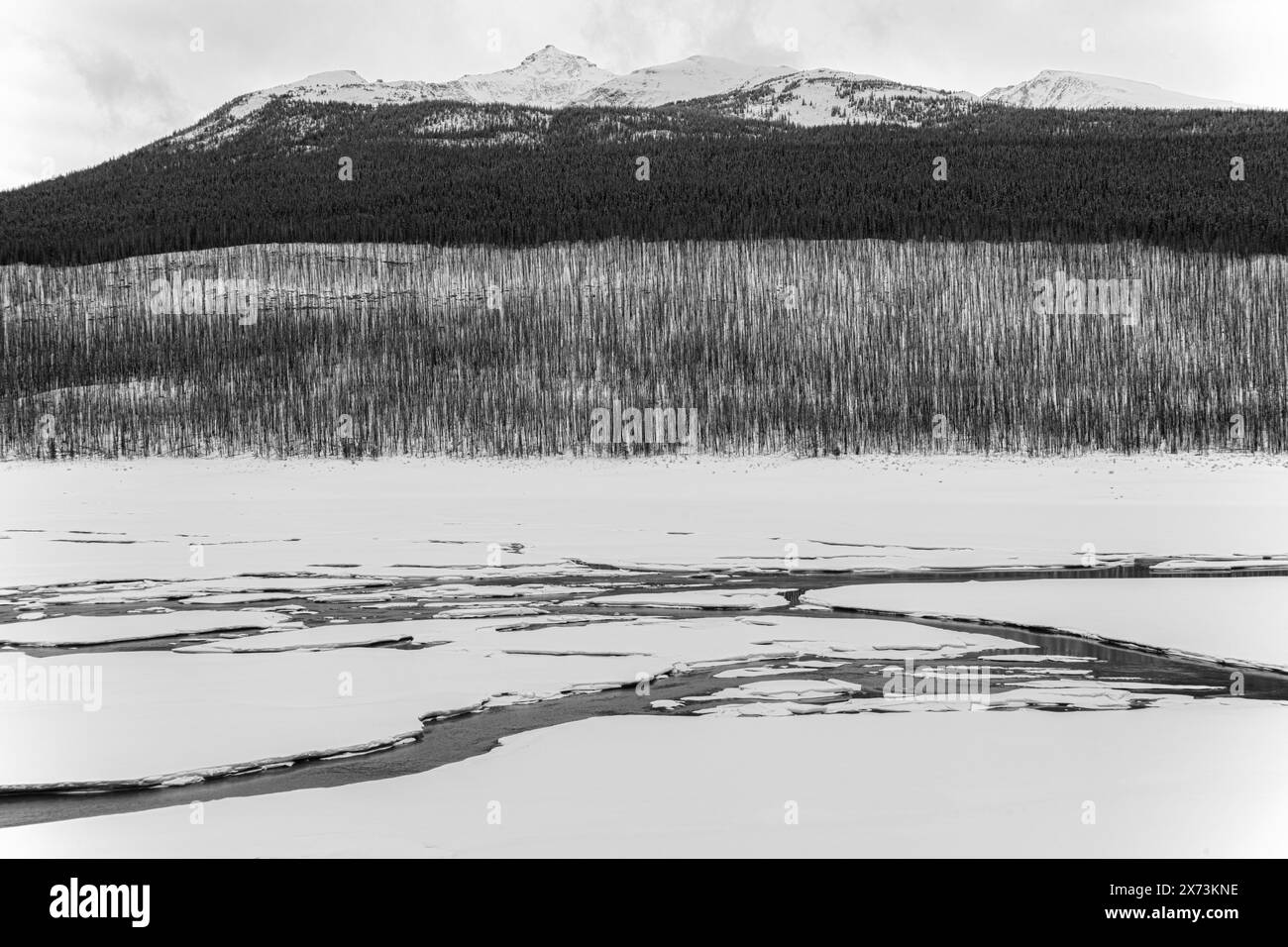 Jasper valley Black and White Stock Photos & Images - Alamy