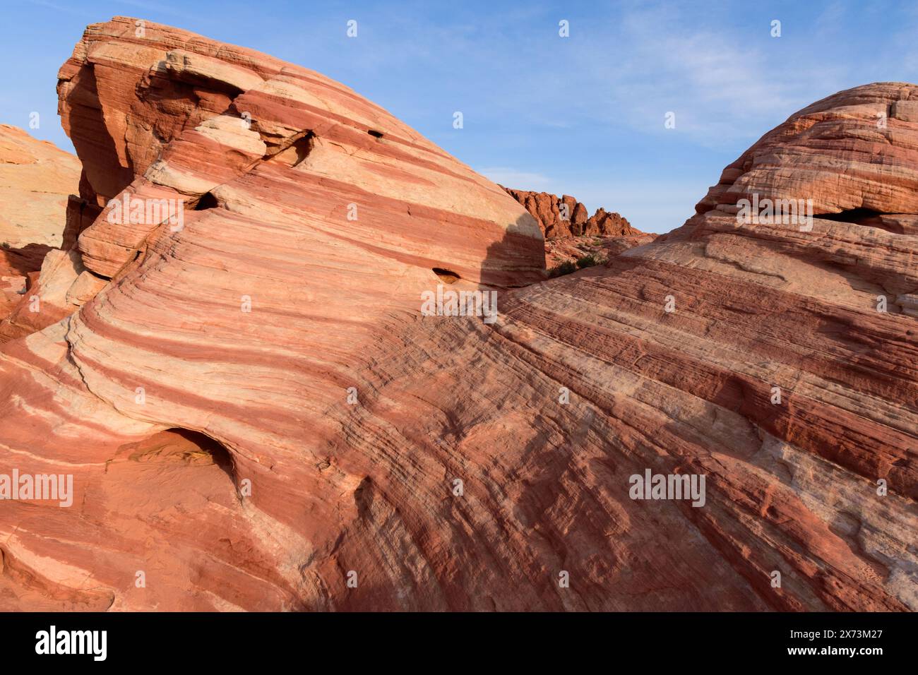 Close up of the striped Fire Wave rock strata which forms pink ...