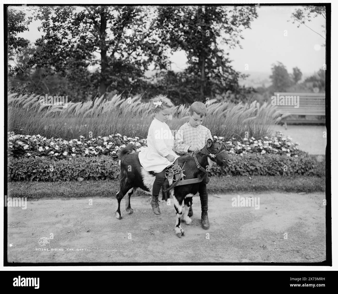Children with goats Cut Out Stock Images & Pictures - Alamy