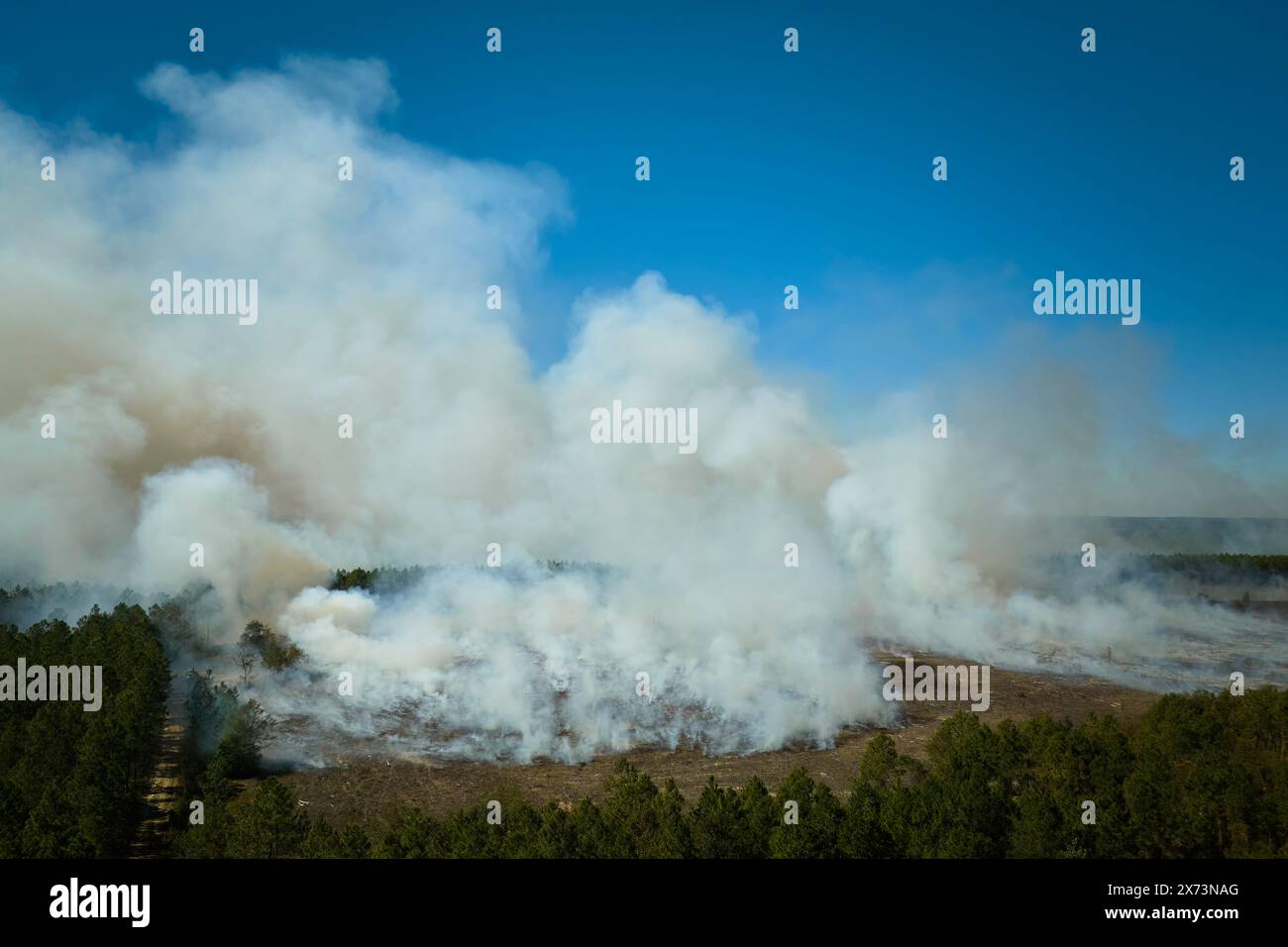 Rising ecosystem temperature hi-res stock photography and images - Alamy