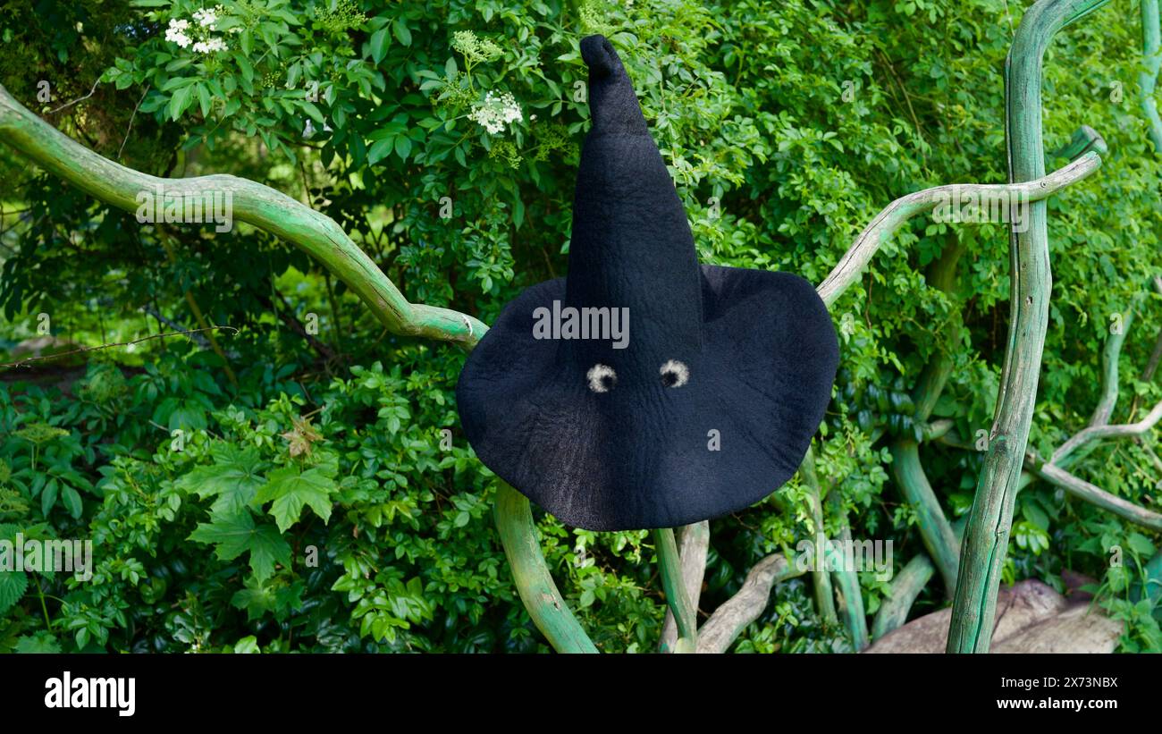 Cross eyed hi-res stock photography and images - Alamy