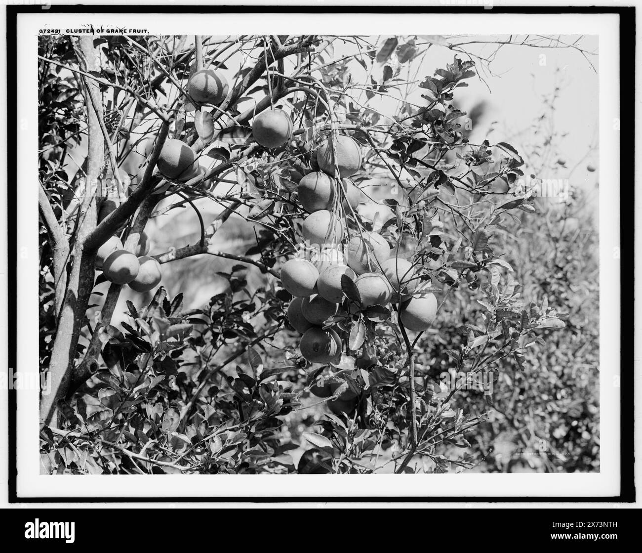 Industry cluster Black and White Stock Photos & Images - Alamy