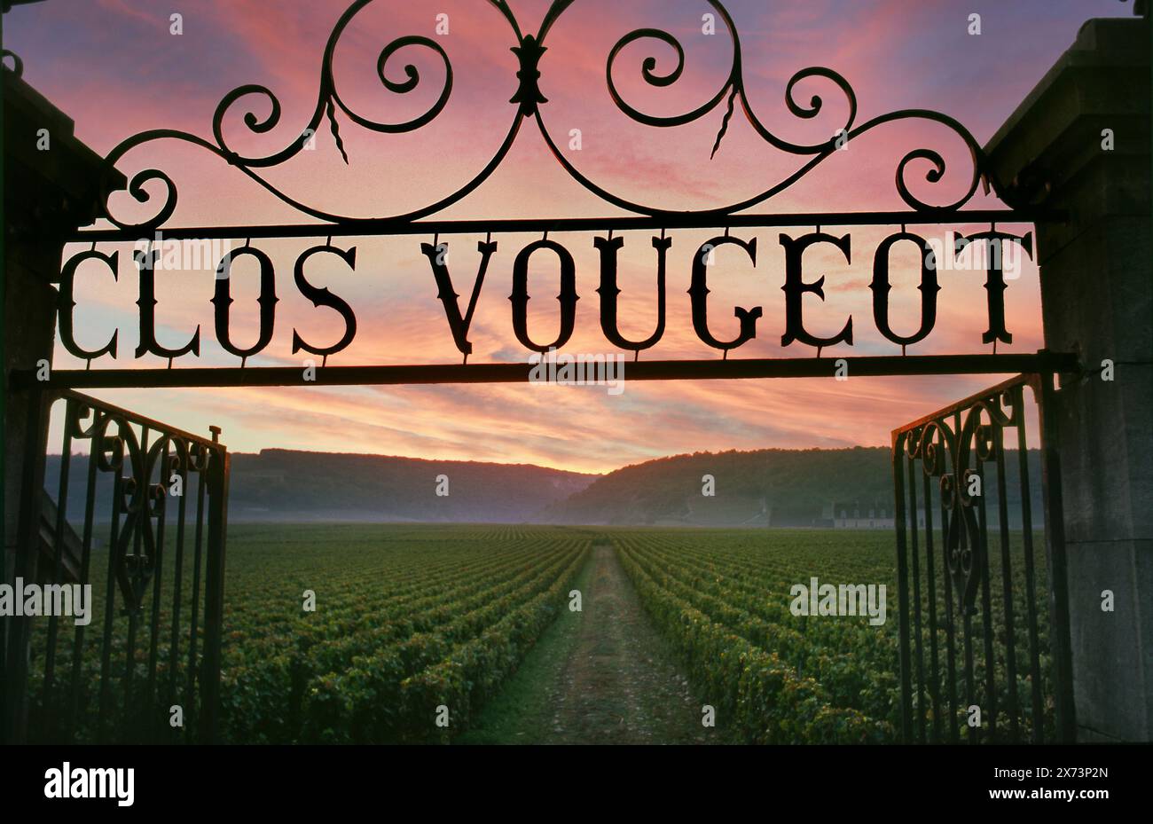 Wall enclosed vineyard hi-res stock photography and images - Alamy