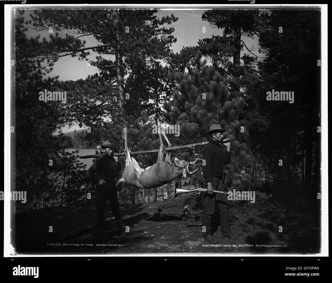 Colorado deer Black and White Stock Photos & Images - Alamy