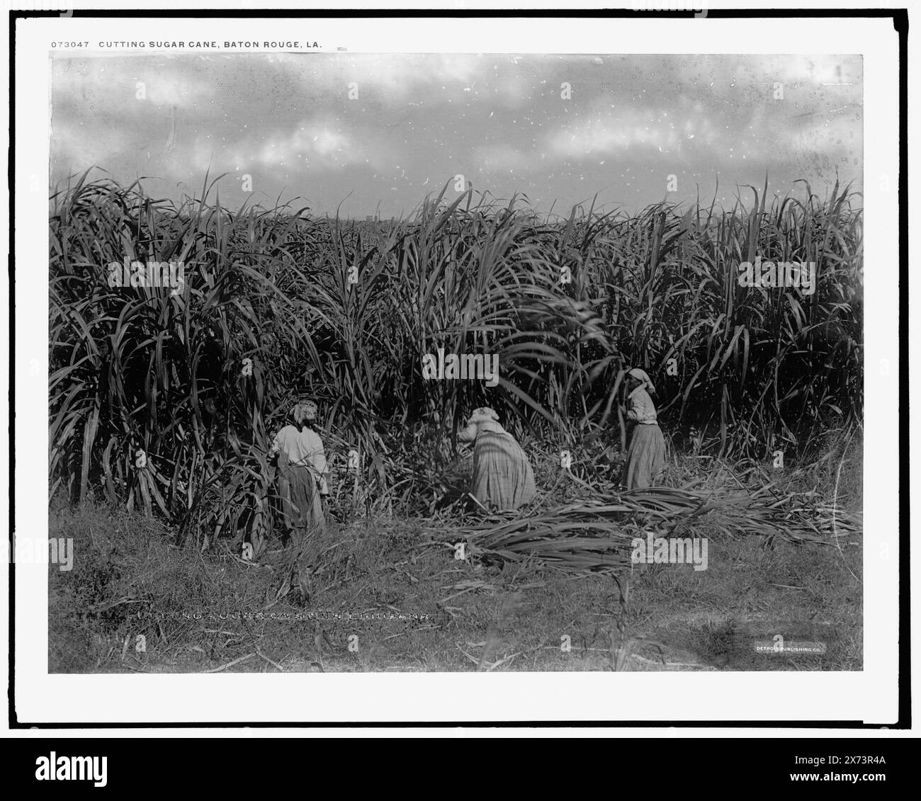 African americans employme hi-res stock photography and images - Alamy