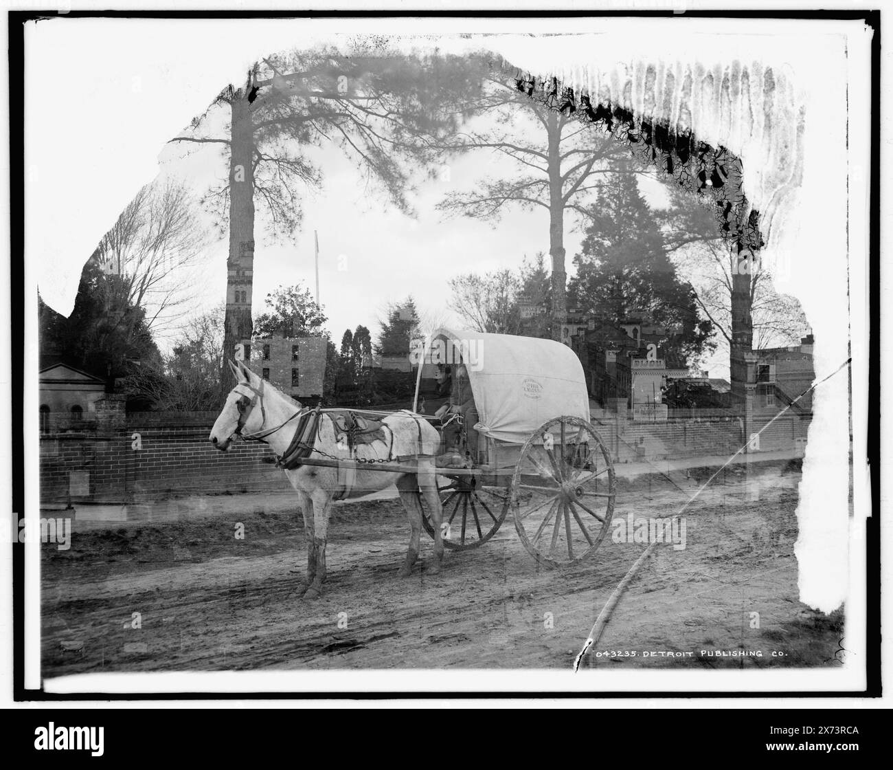 A Virginia vegetable cart, Title from jacket., Negative appears to be a ...