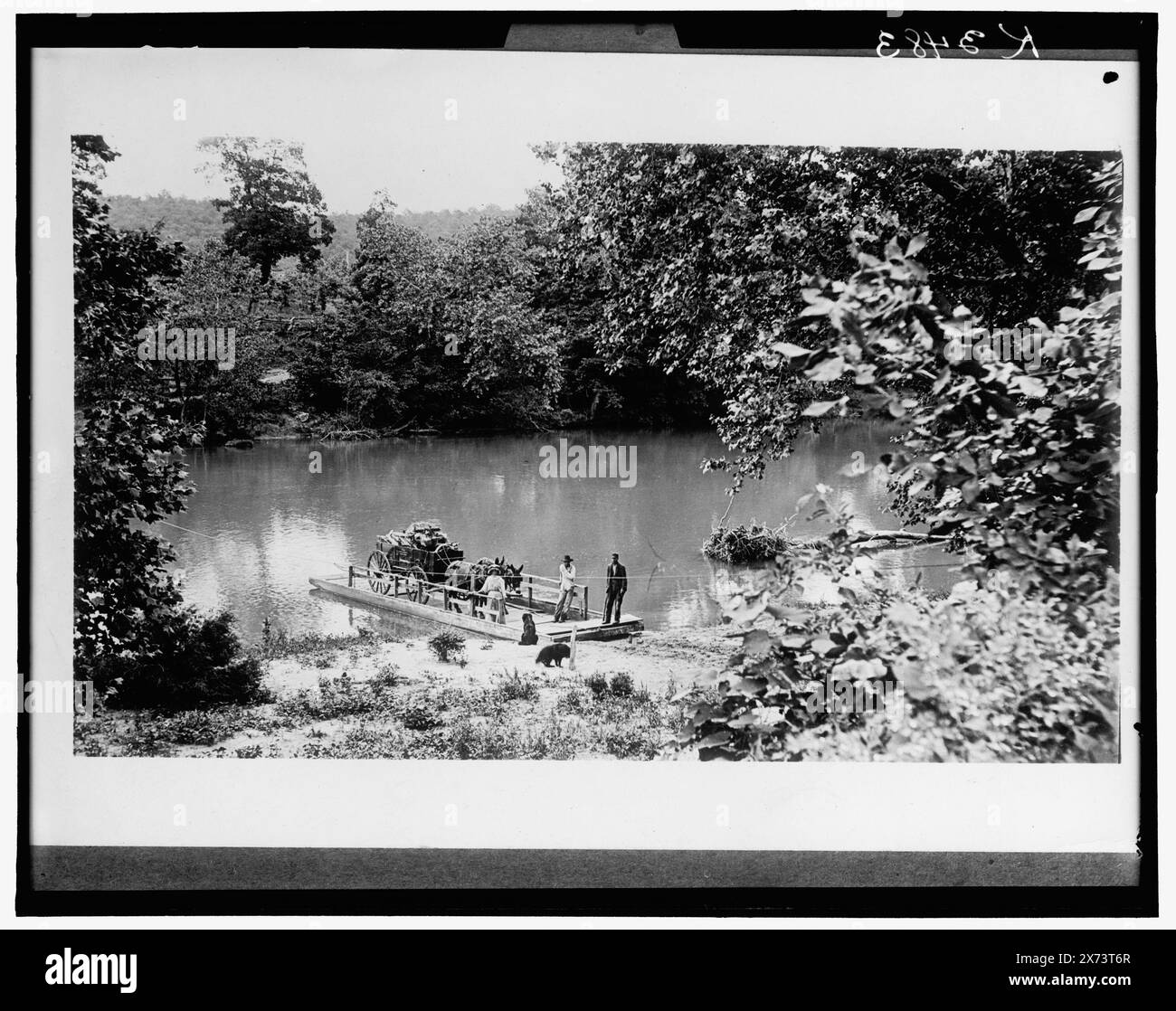 Ferry boat loaded with mule cart at landing, Title devised by cataloger ...