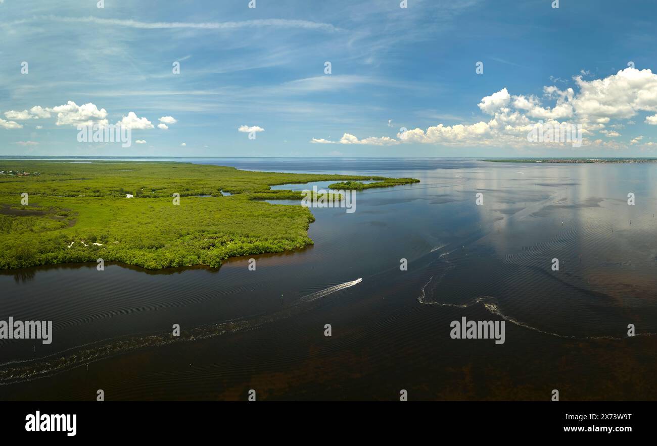 View from above of Florida everglades with green vegetation between ...