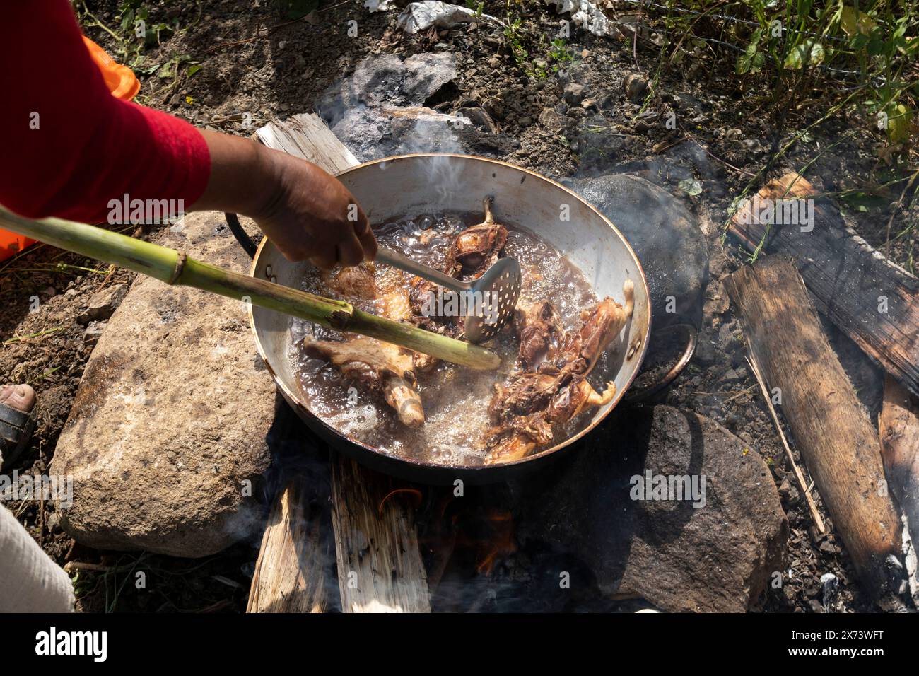 Peruvian indigenous woman frying Cuy (guinea pig) in a frying pan over ...
