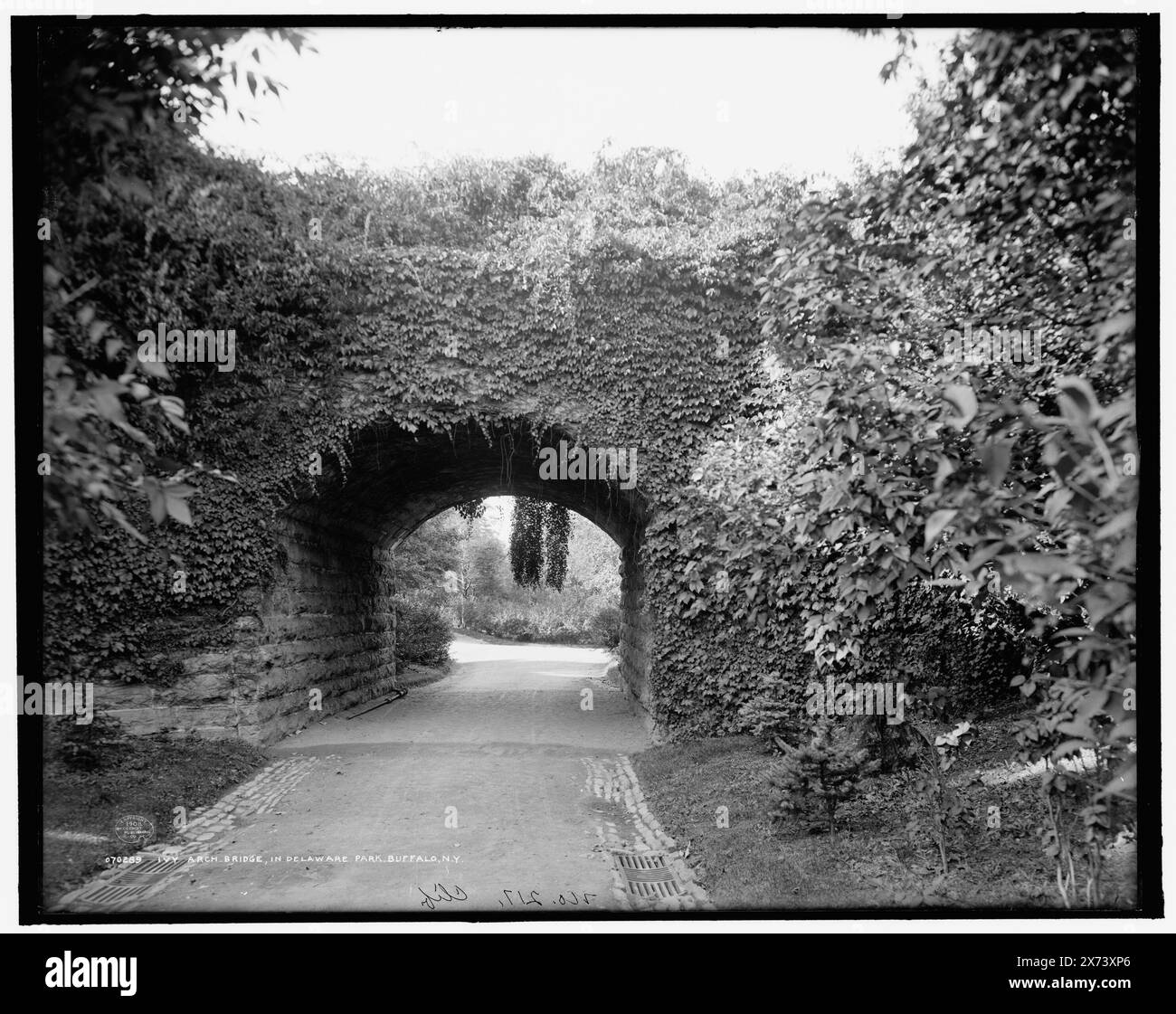 Ivy on railings Black and White Stock Photos & Images - Alamy