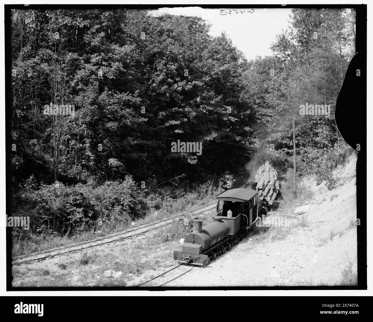Logging train Cut Out Stock Images & Pictures - Alamy