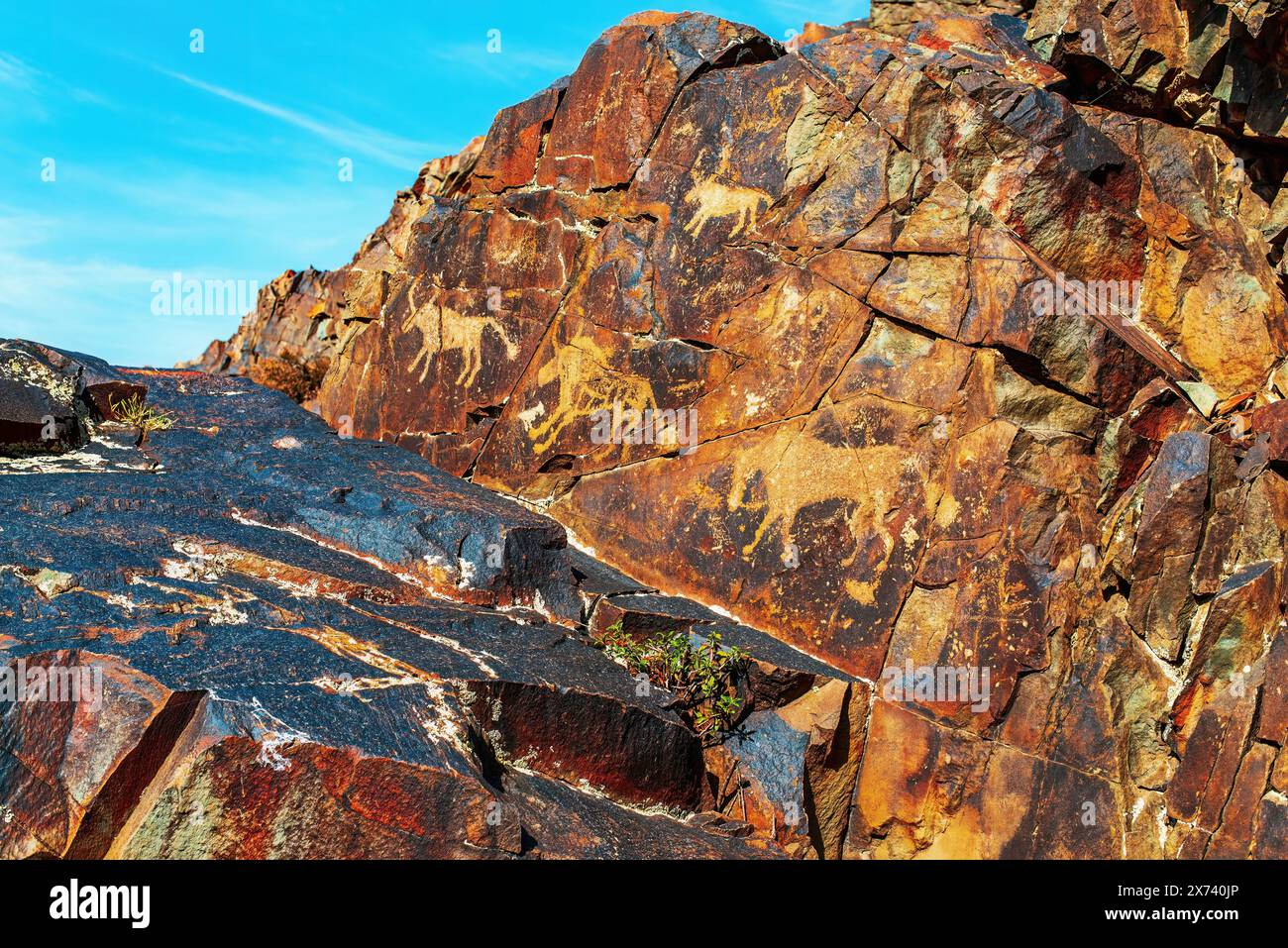 Ancient rock paintings in the Karasay gorge, Taraz, Zhambyl Region ...