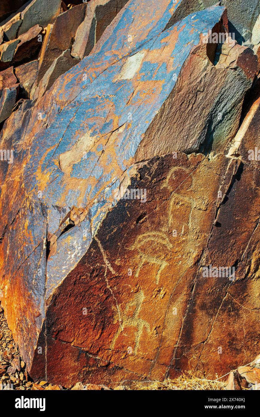 Ancient petroglyphs of Karasay gorge in Taraz, Jambyl Region ...