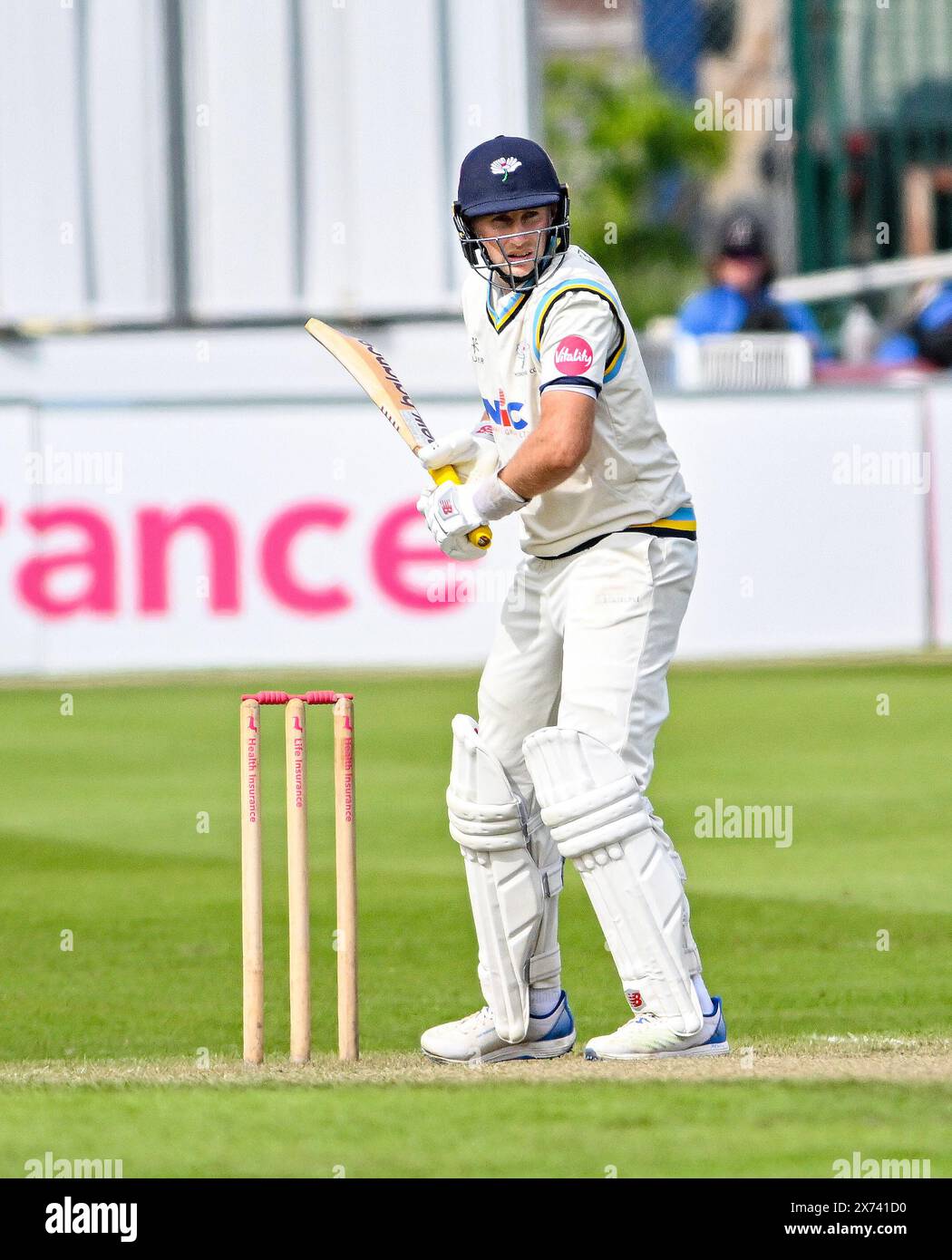 Joe root 2024 hi-res stock photography and images - Alamy