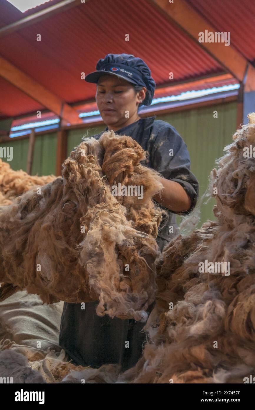 Inca weaving tradition hi-res stock photography and images - Alamy