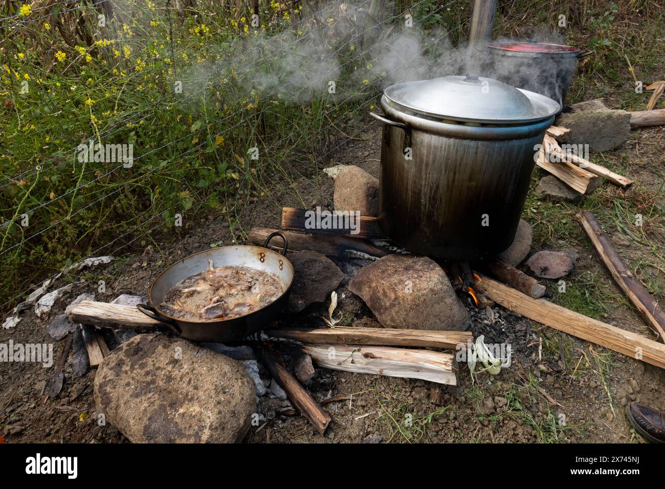 Cooking over wood with metal pots and frying pan frying Cuy (guinea pig ...